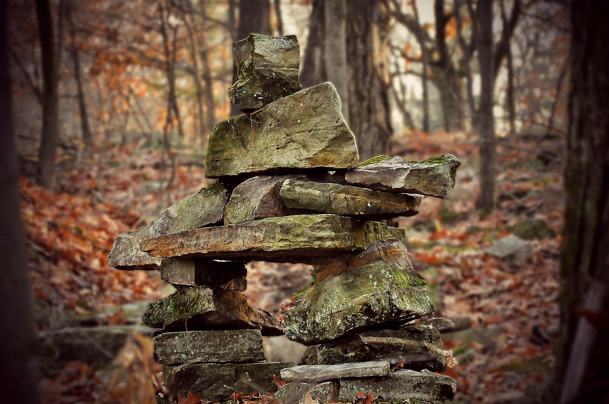 yeah write interview series Who's on Fourth featuring Bill Dameron